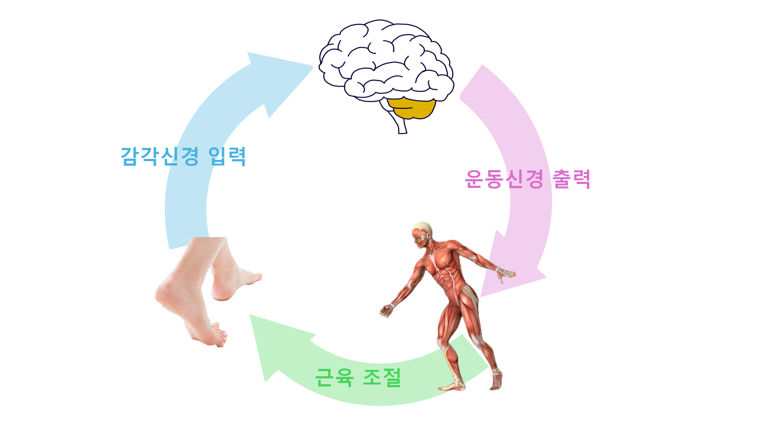 Balance Step 자세 회복 센터